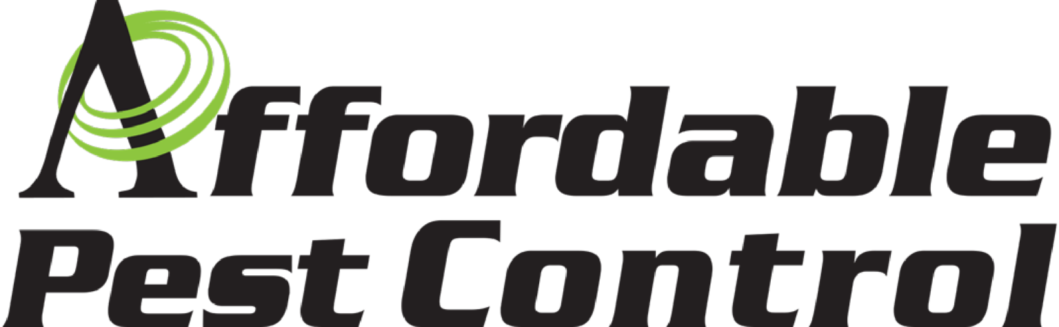 Affordable Pest Control: Affordable Pest & Termite Control Services