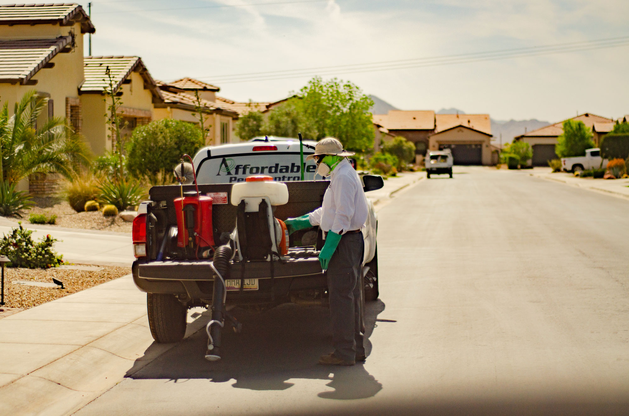 Pests to Watch Out for During the Winter Months in Arizona – Affordable ...