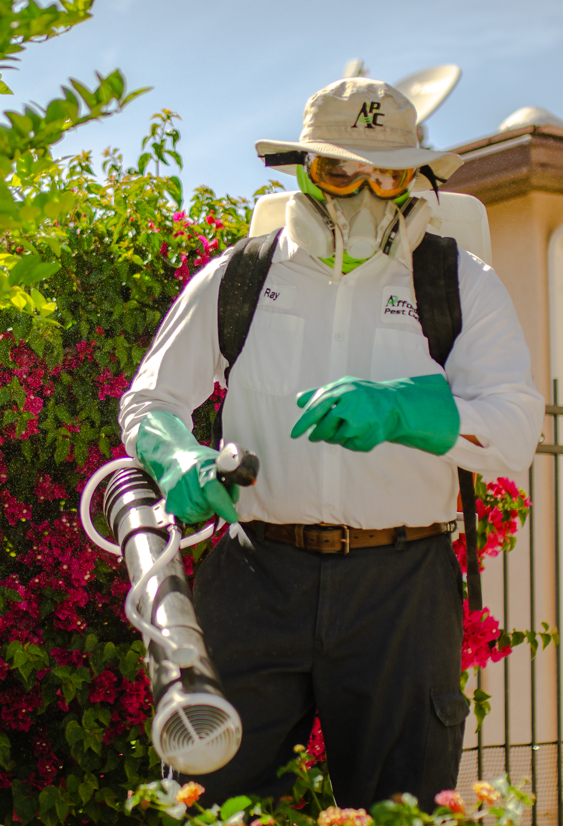 Why Mosquitoes Love the Monsoon in Arizona – Affordable Pest Control